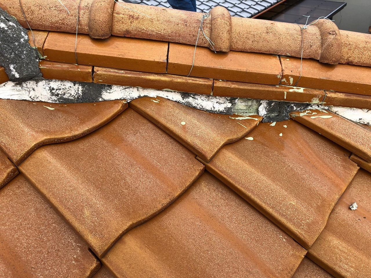 IMG_3869 | 大阪・泉大津・解体工事業者のサポートプラン